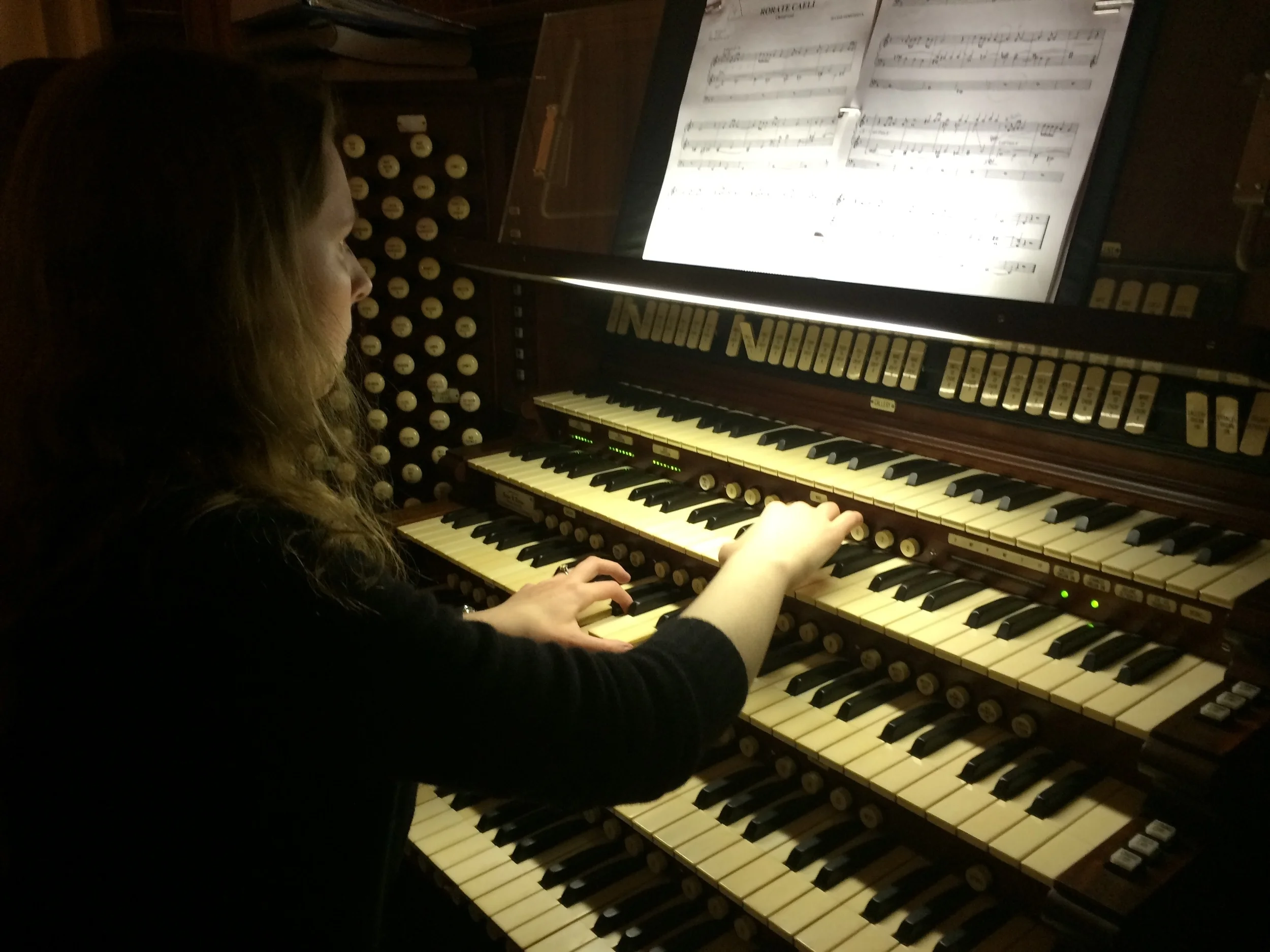 Schedule — Sarah Jane E. Starcher Germani