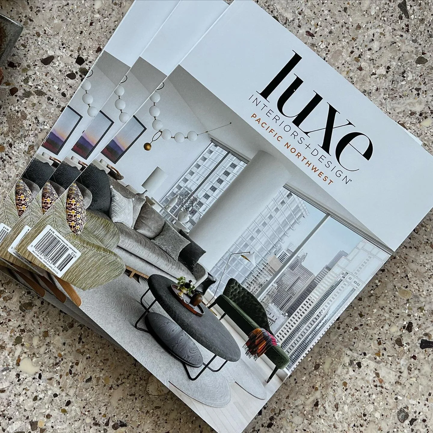 Instagram — Brio Interior Design | Seattle Interior Designer