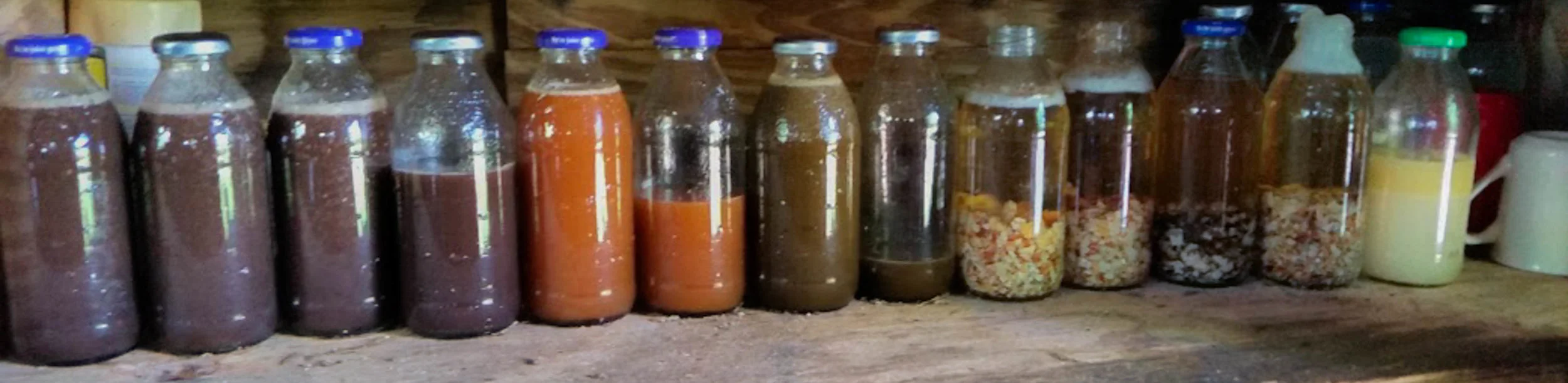 How To Make Your Own Natural And Effective Fertilizer - The Island School