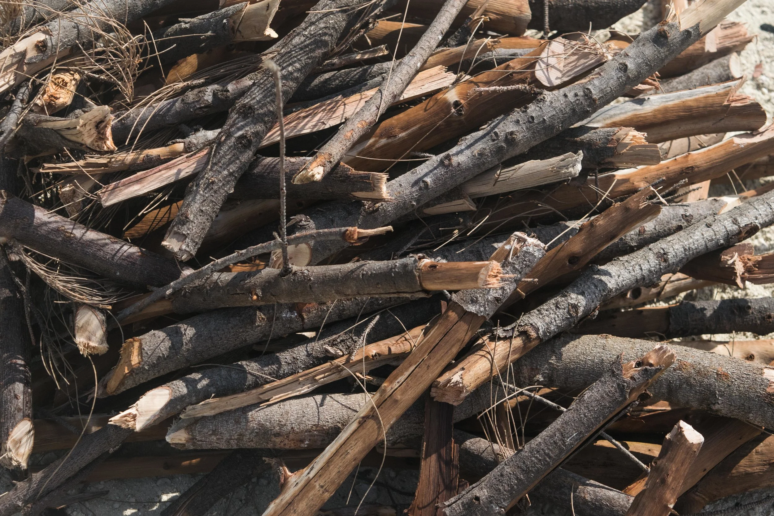 How to Make Organic Biochar at Home - The Island School