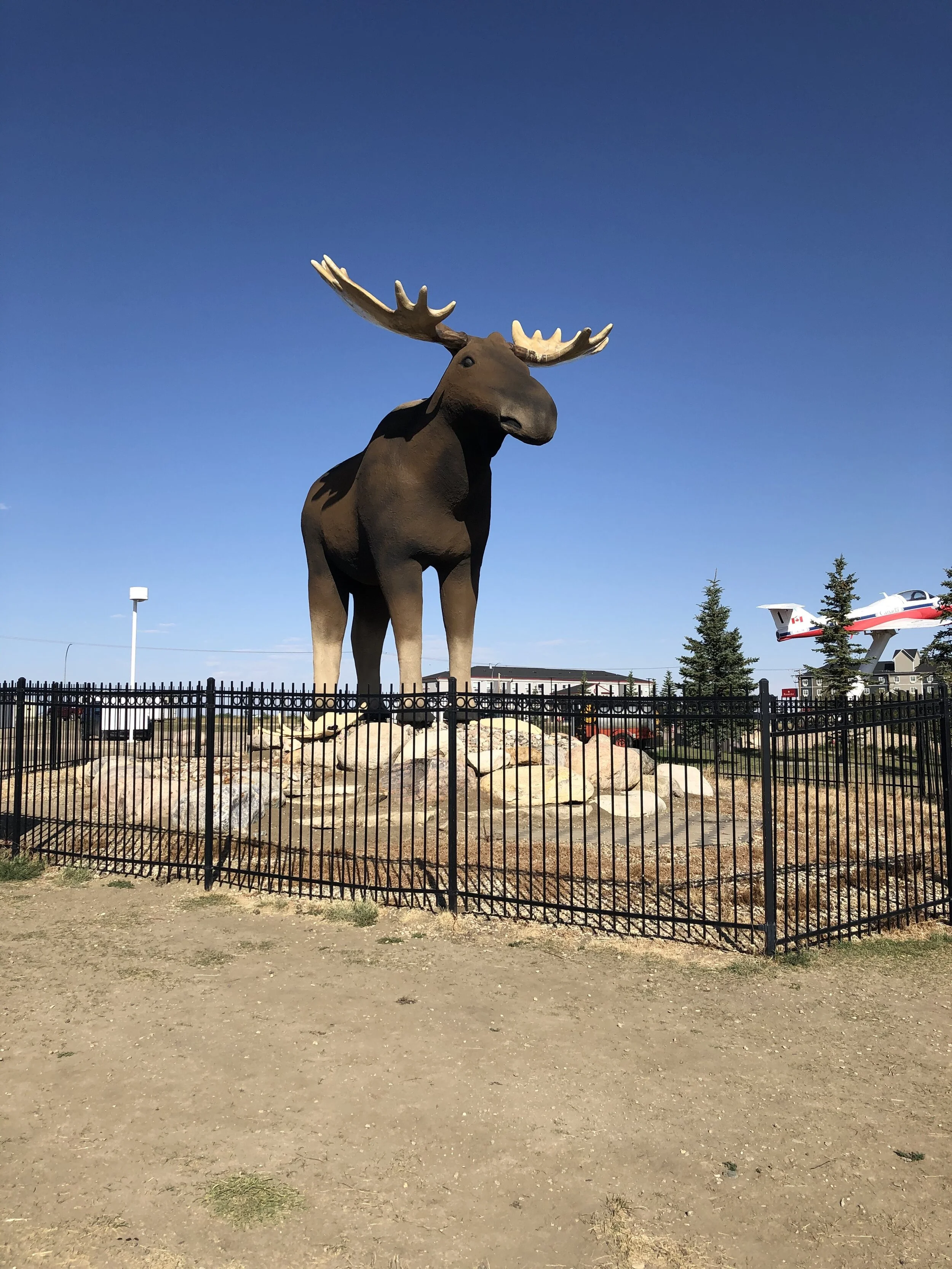 Moose Jaw Festival of Dance - Dance Inspirations