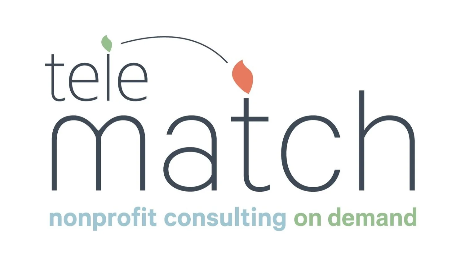 TELEMATCH — Match Nonprofit Consulting