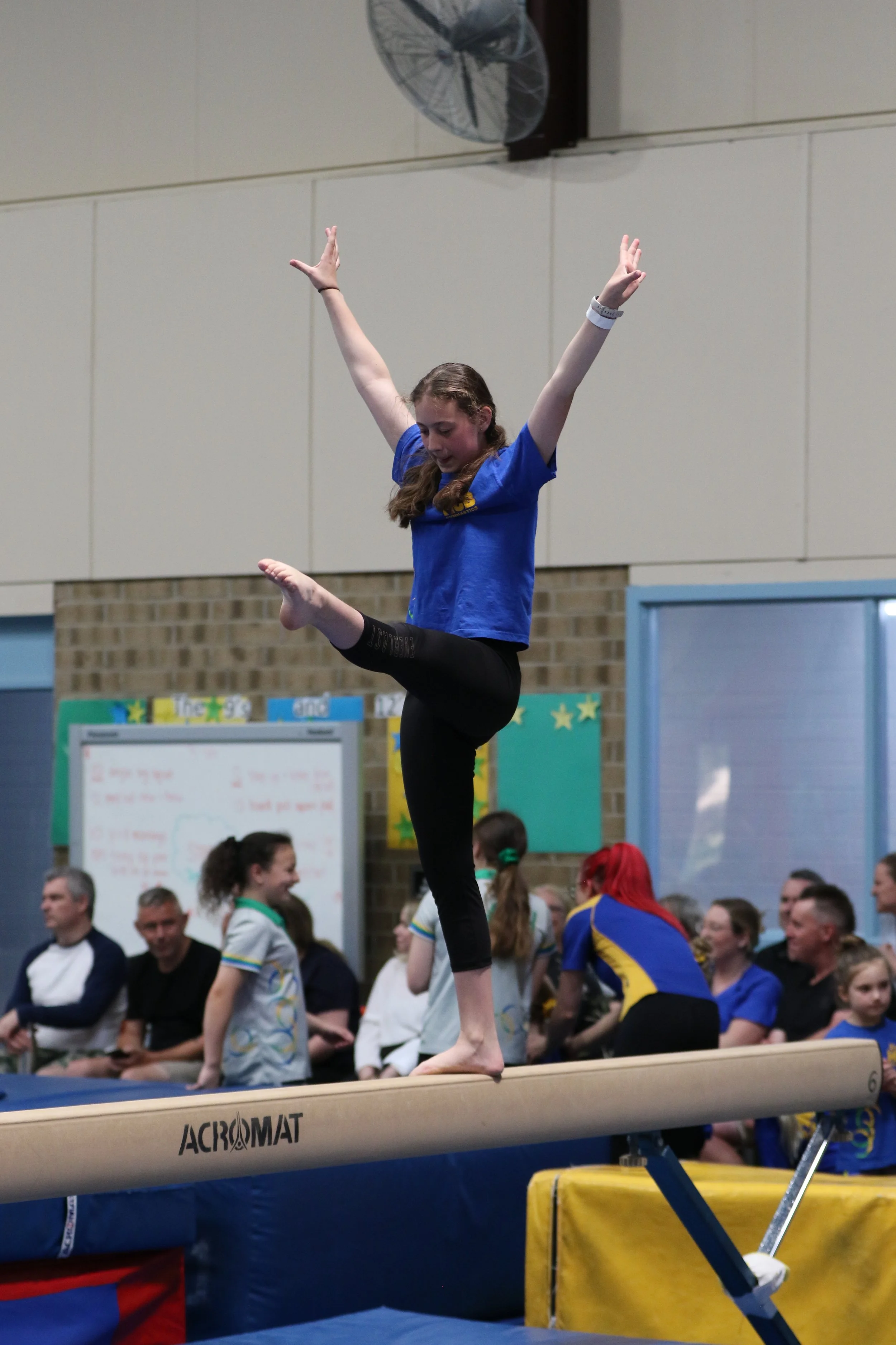 Recreational Gymnastics — Hub Gymnastics