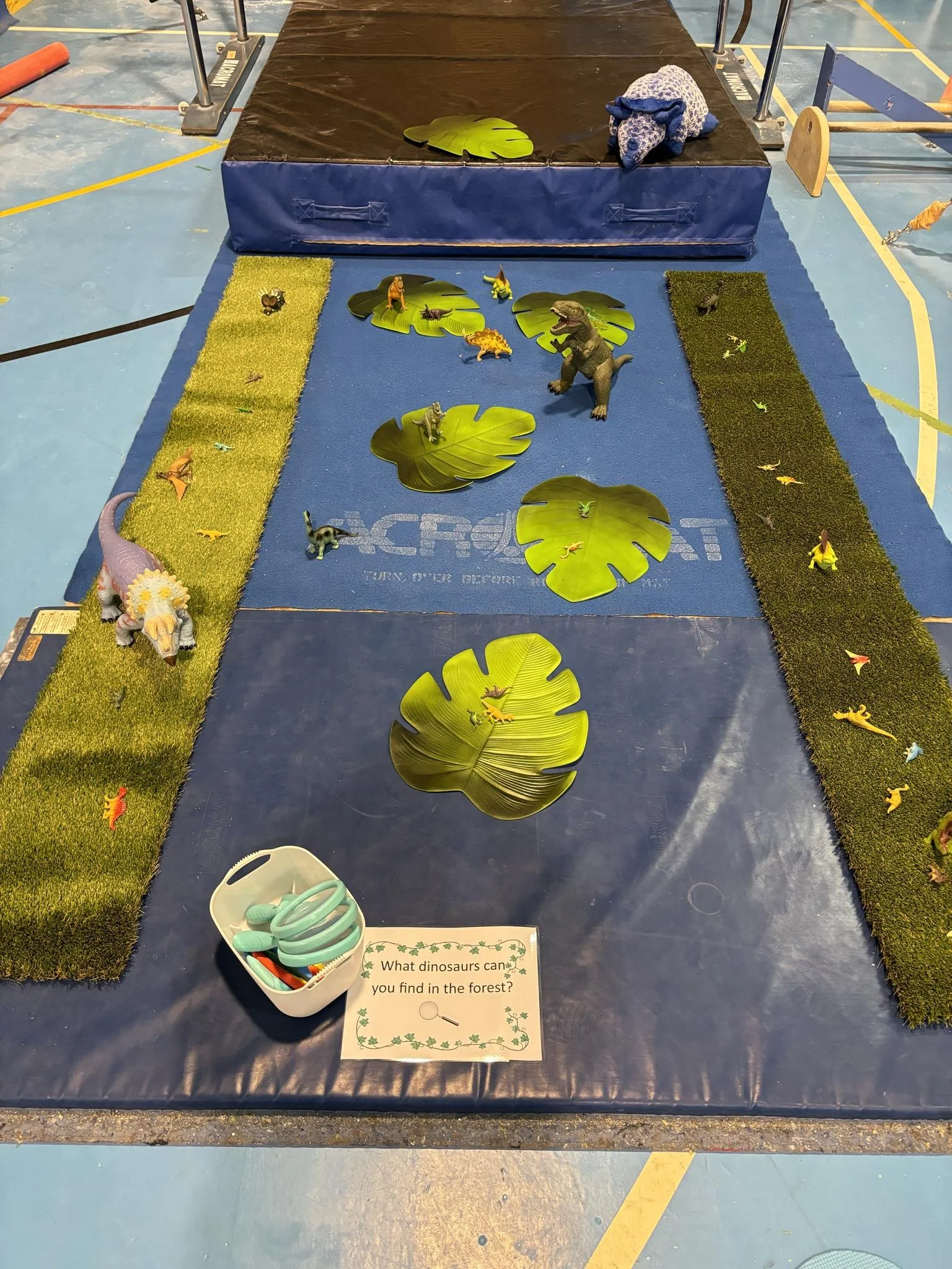 Kindergym — Hub Gymnastics