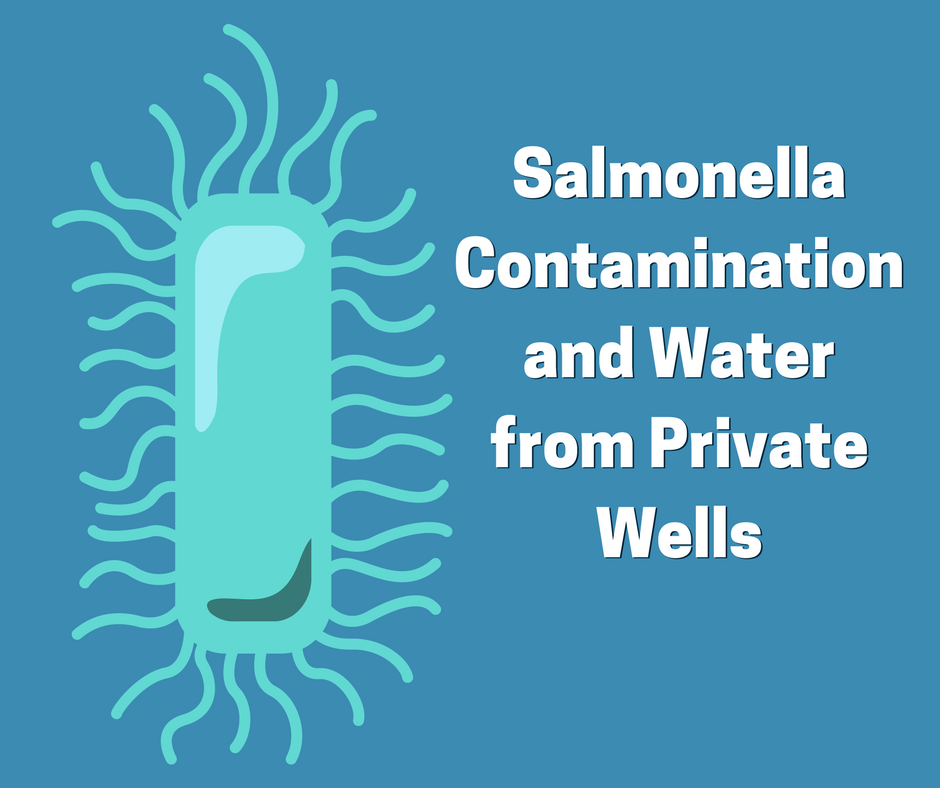 Treatment for Salmonella Contamination in Well Water — Skillings & Sons ...