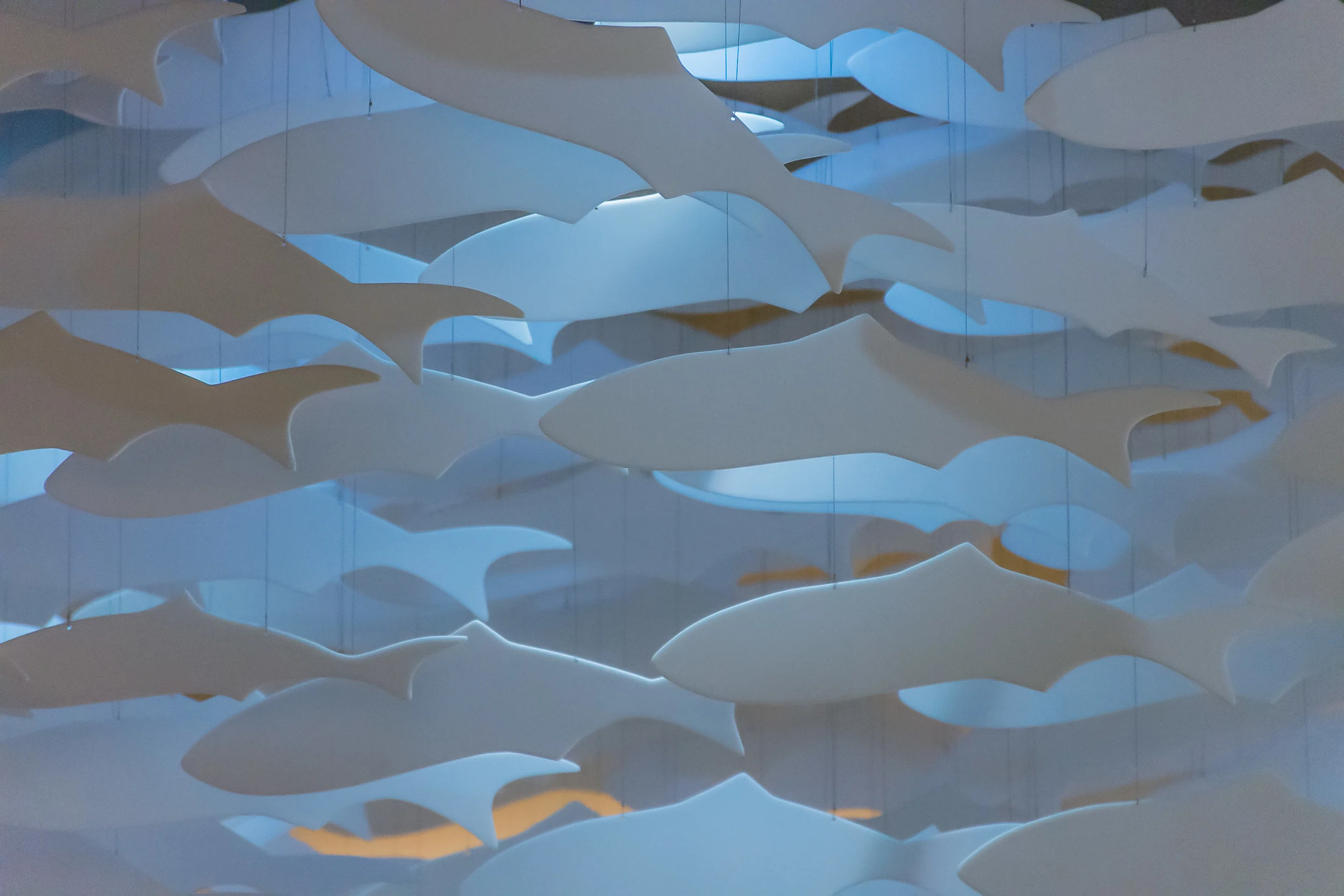 511 Plaza & the Arts District Garage