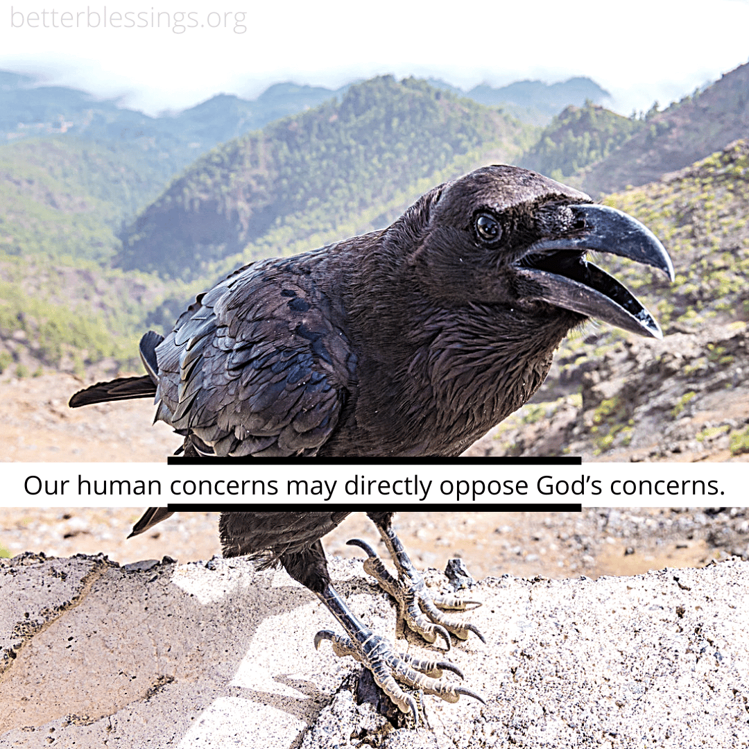 Merely Human Concerns | Everyday Bible Based Inspiration