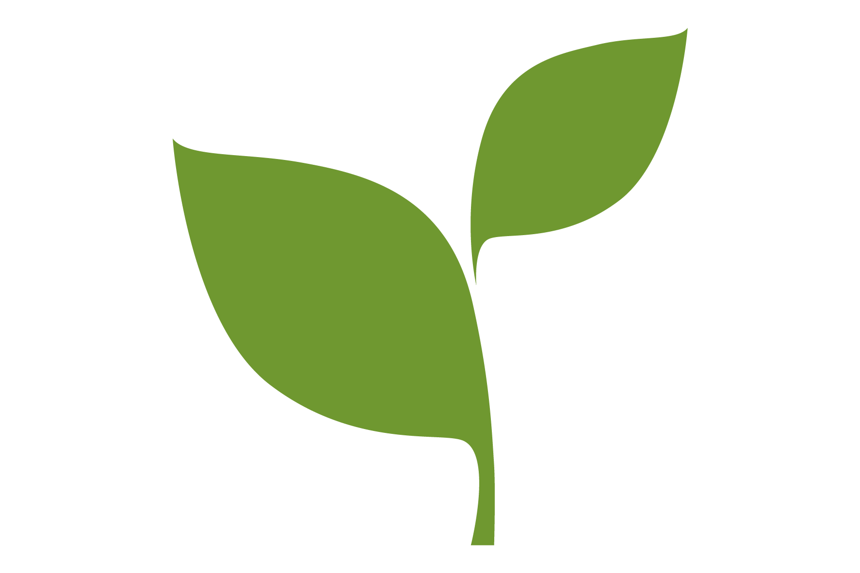 Beanstalk - A Global Brand Extension Licensing Agency | Global Brand ...