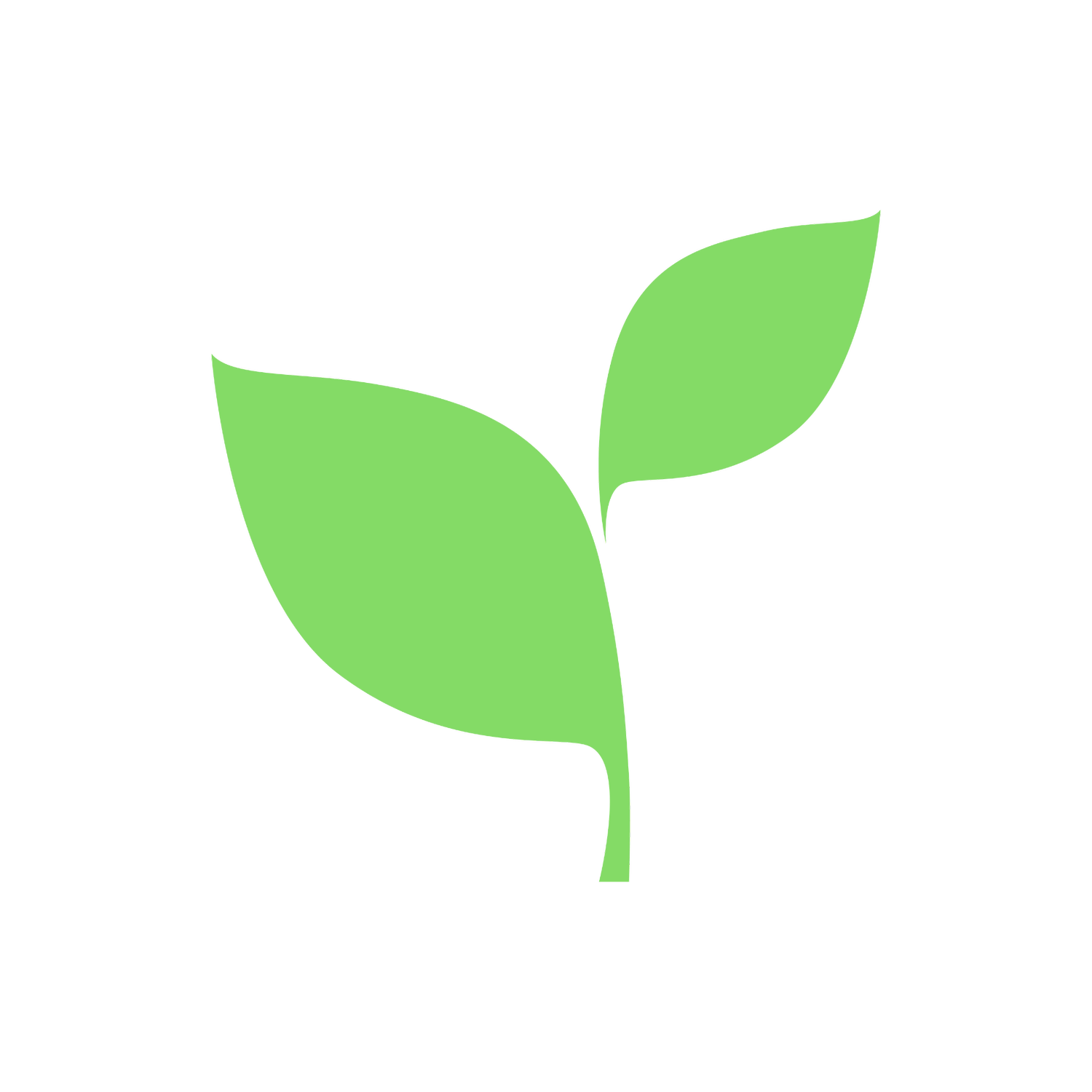 About Us — Beanstalk