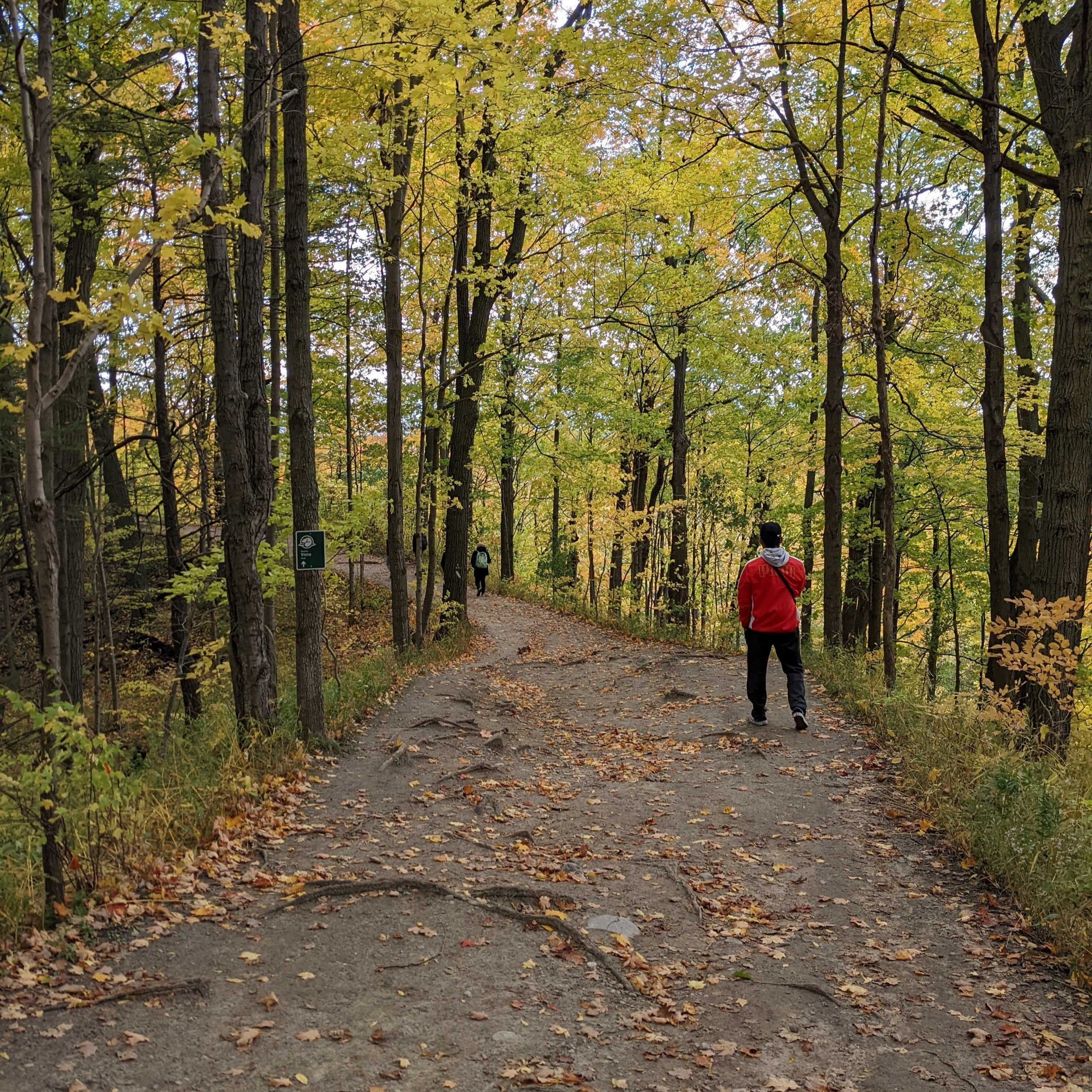 Outdoors Club — PROJECT CANOE