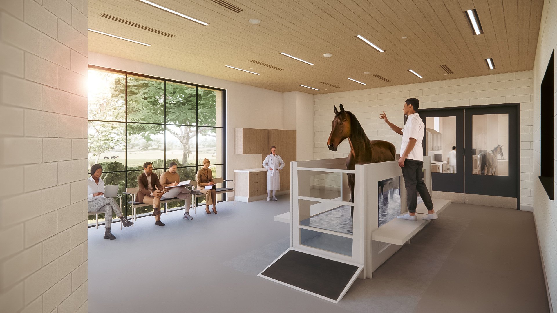 King Animal Hospital — Cumulus Architects Inc.