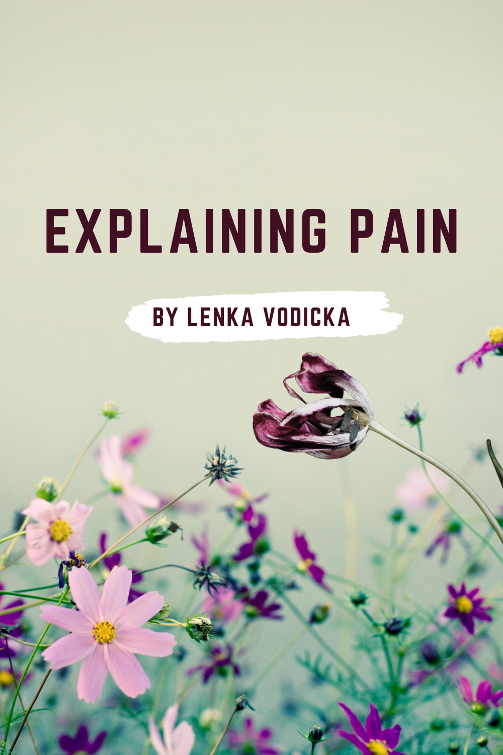 Explaining Pain - A Patient's Perspective — Lenkaland