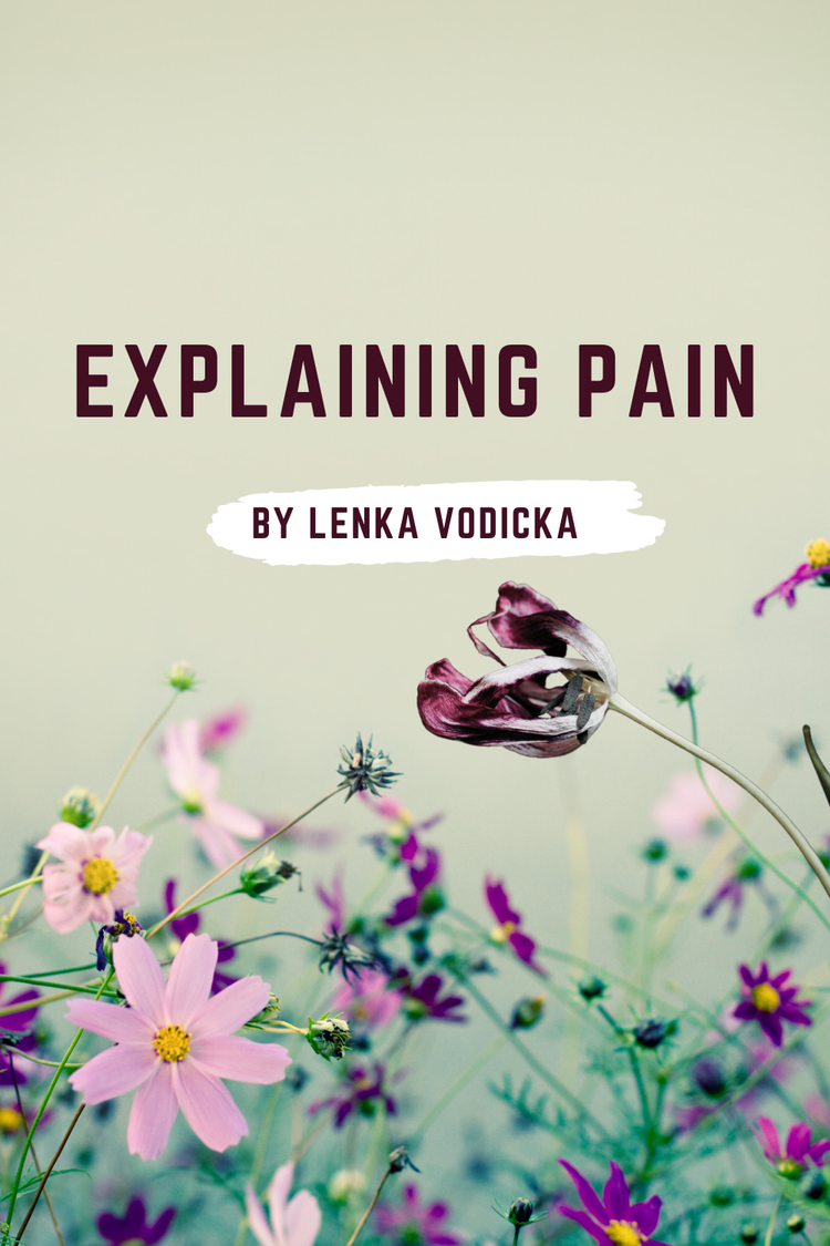 Explaining Pain - A Patient's Perspective — Lenkaland