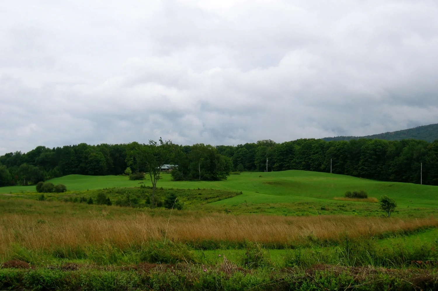 We're Local — Kingdom Fiber
