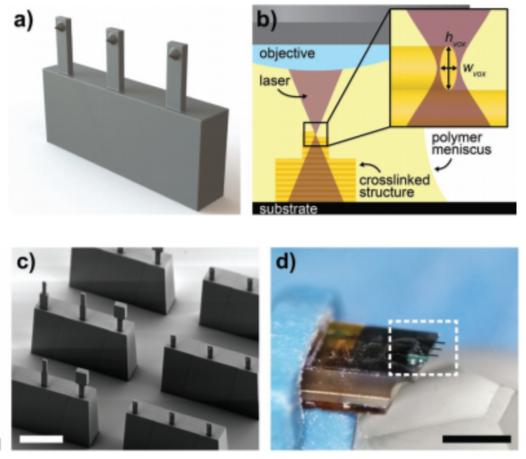 The multidisciplinary nature of AFM — NuNano AFM Probes