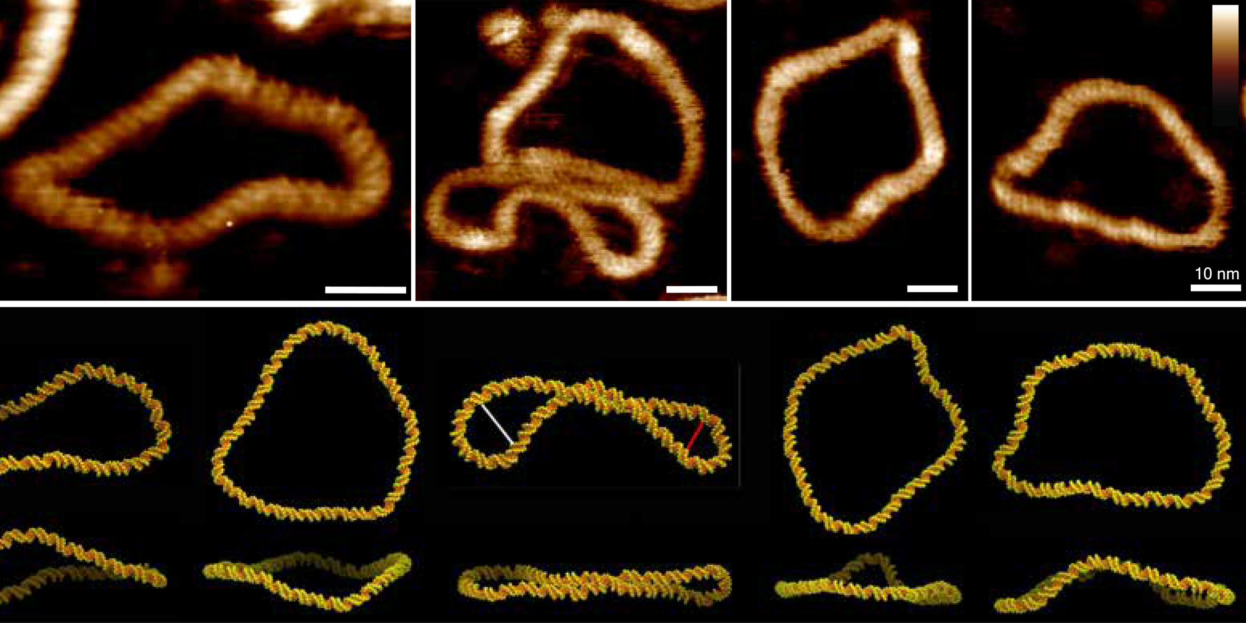 NuNano Interviews: Dr Alice Pyne, University of Sheffield (Women in ...