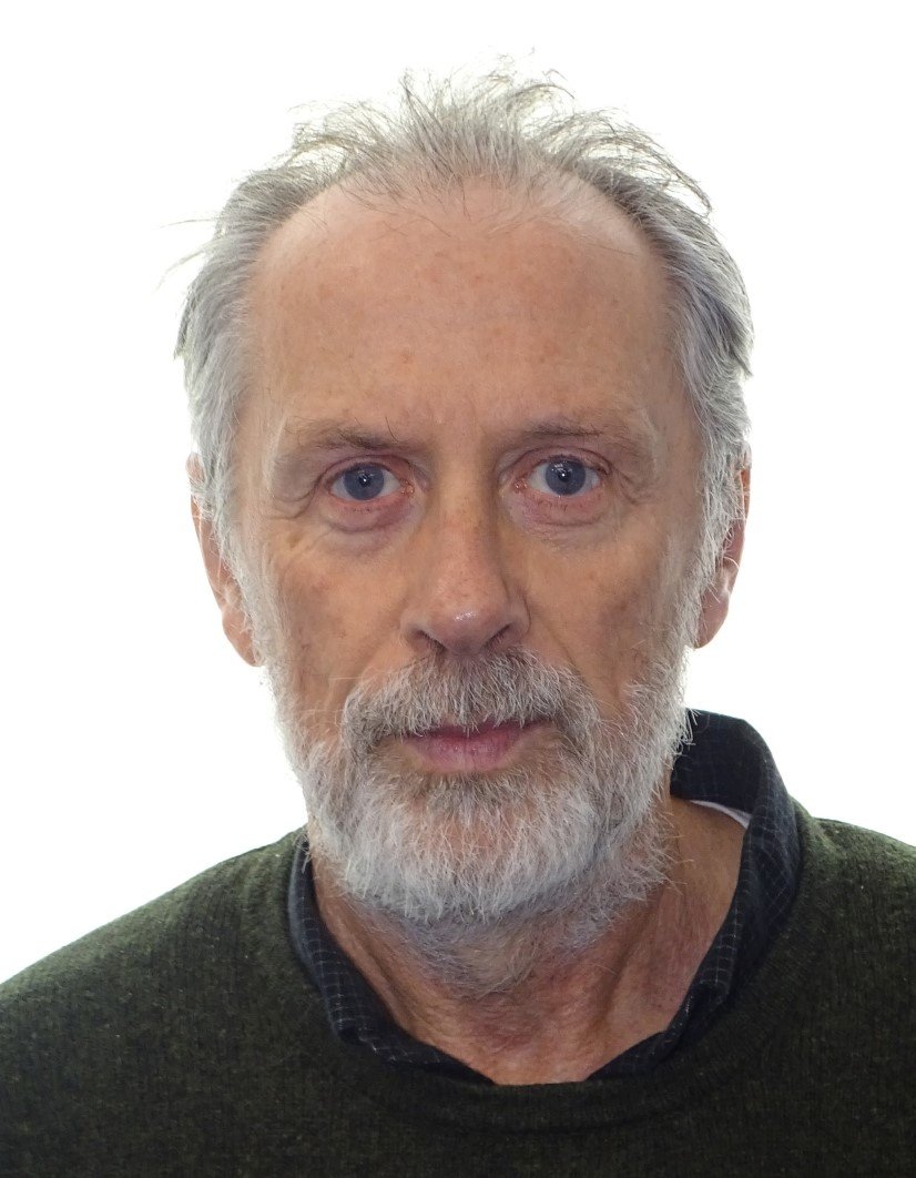 Case Study: Characterisation of graphene nanoribbons growth in the hunt ...