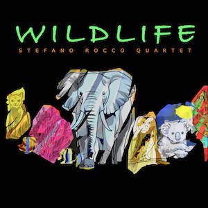 Stefano Rocco Quartet - Wildlife — JazzTrail | NY Jazz Scene | Album ...