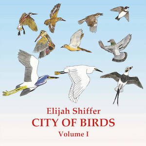 Elijah Shiffer - City of Birds Vol. 1 — JazzTrail | NY Jazz Scene ...