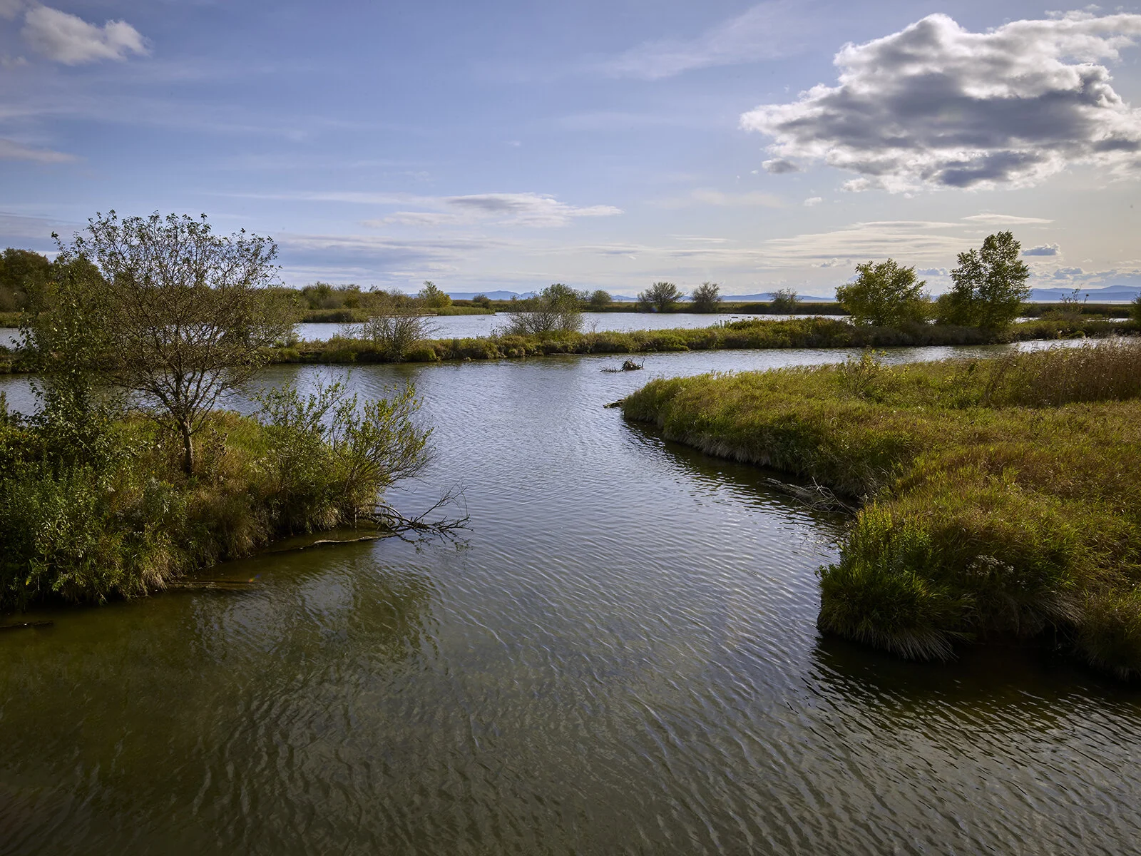 Fraser River Delta — Philip Jessup