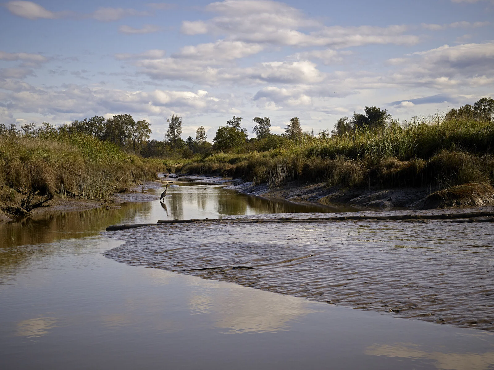 Fraser River Delta — Philip Jessup