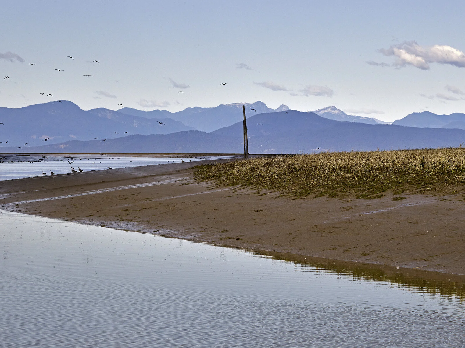 Fraser River Delta — Philip Jessup