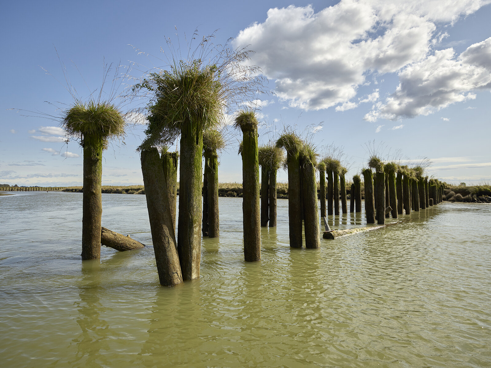 Fraser River Delta — Philip Jessup