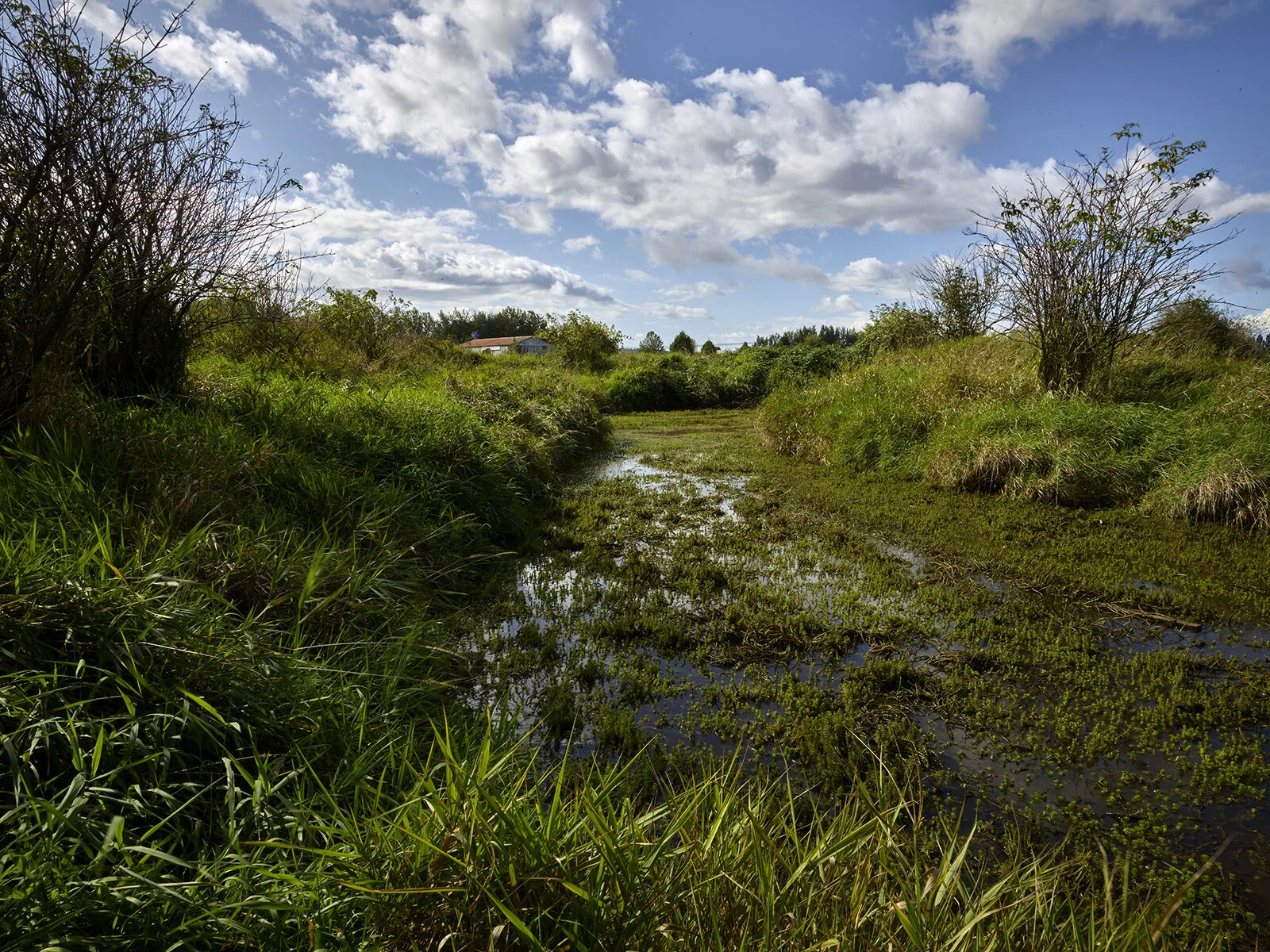 Fraser River Delta — Philip Jessup