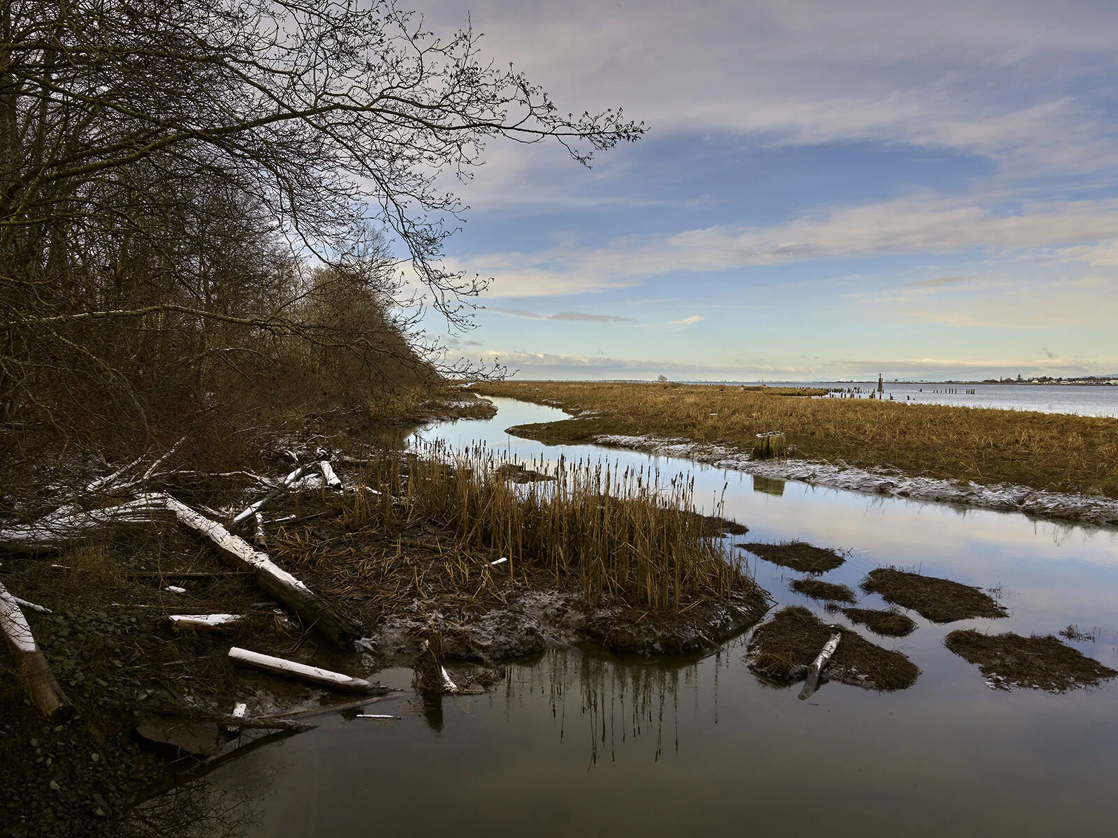 Fraser River Delta — Philip Jessup