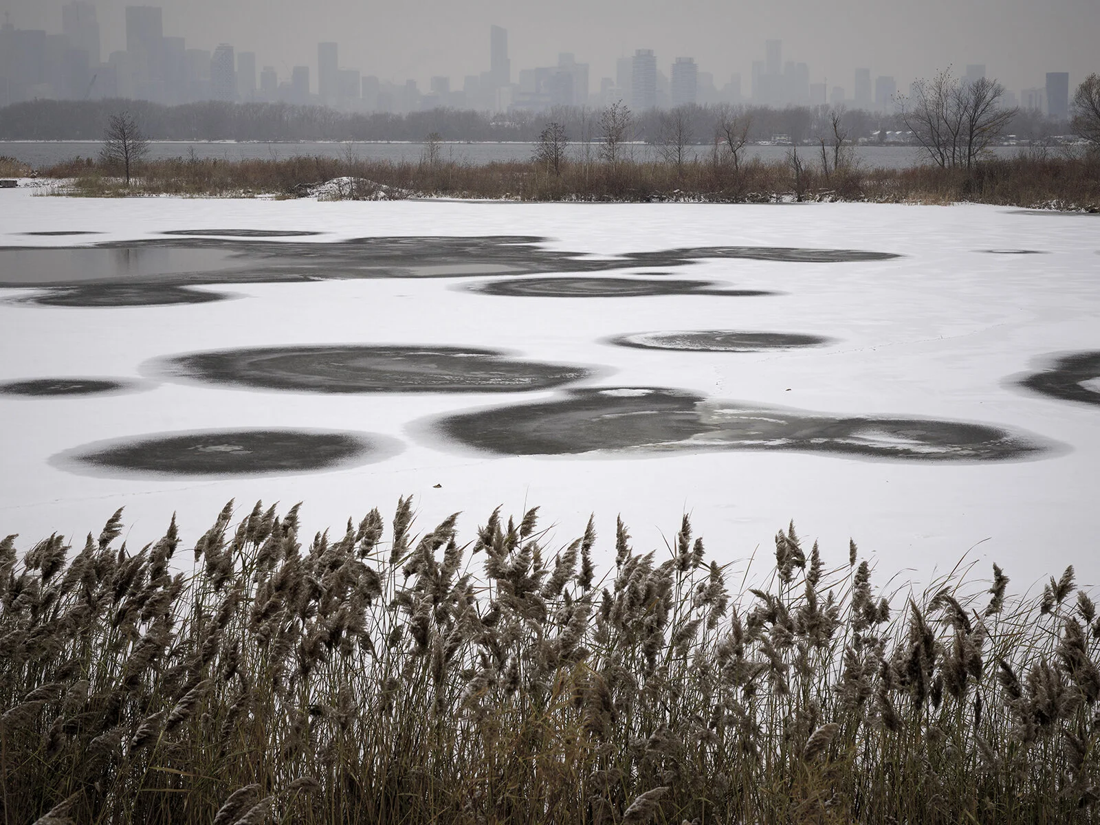 The Leslie Street Spit — Philip Jessup