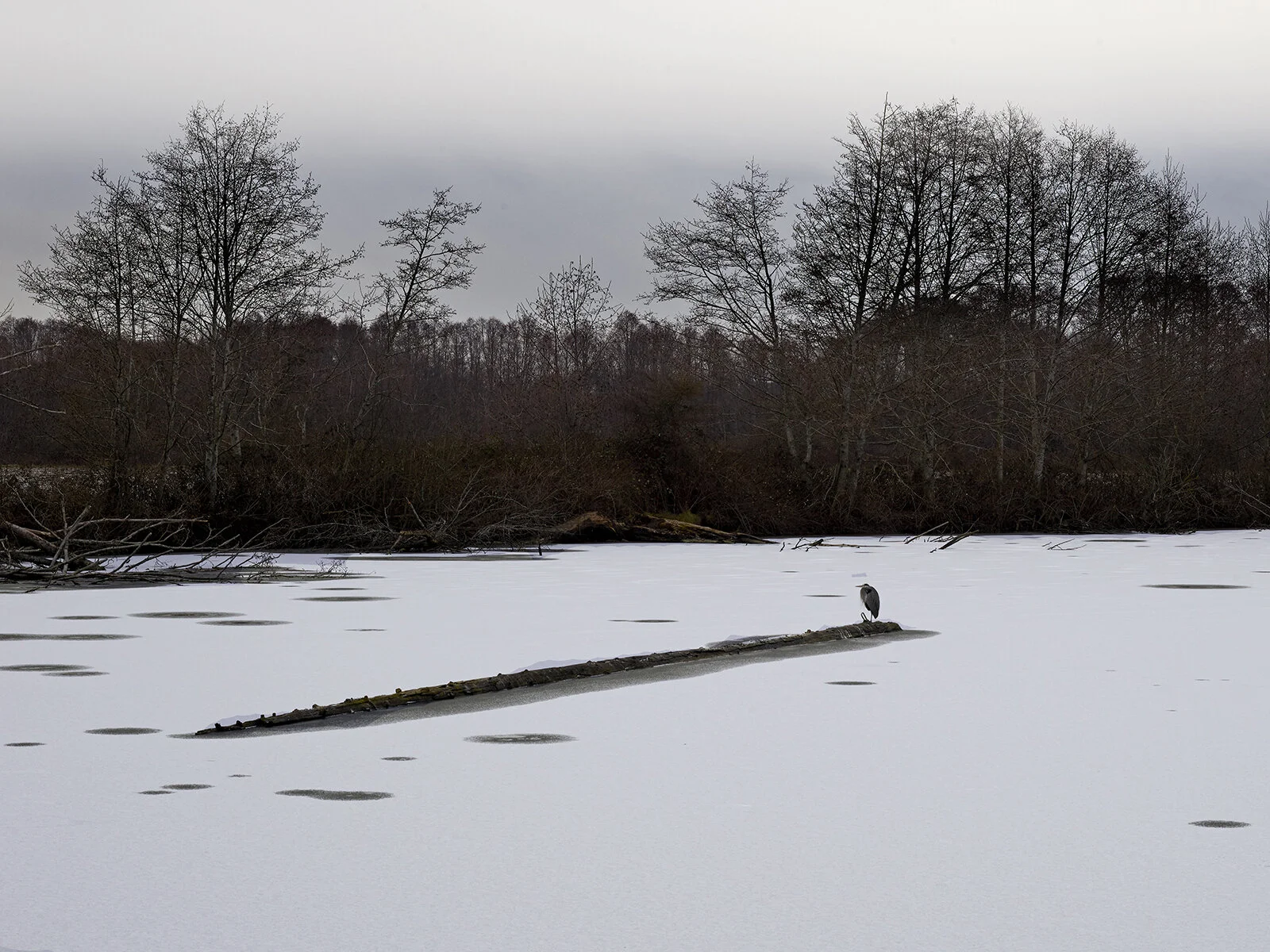 Grand Codroy Estuary — Philip Jessup