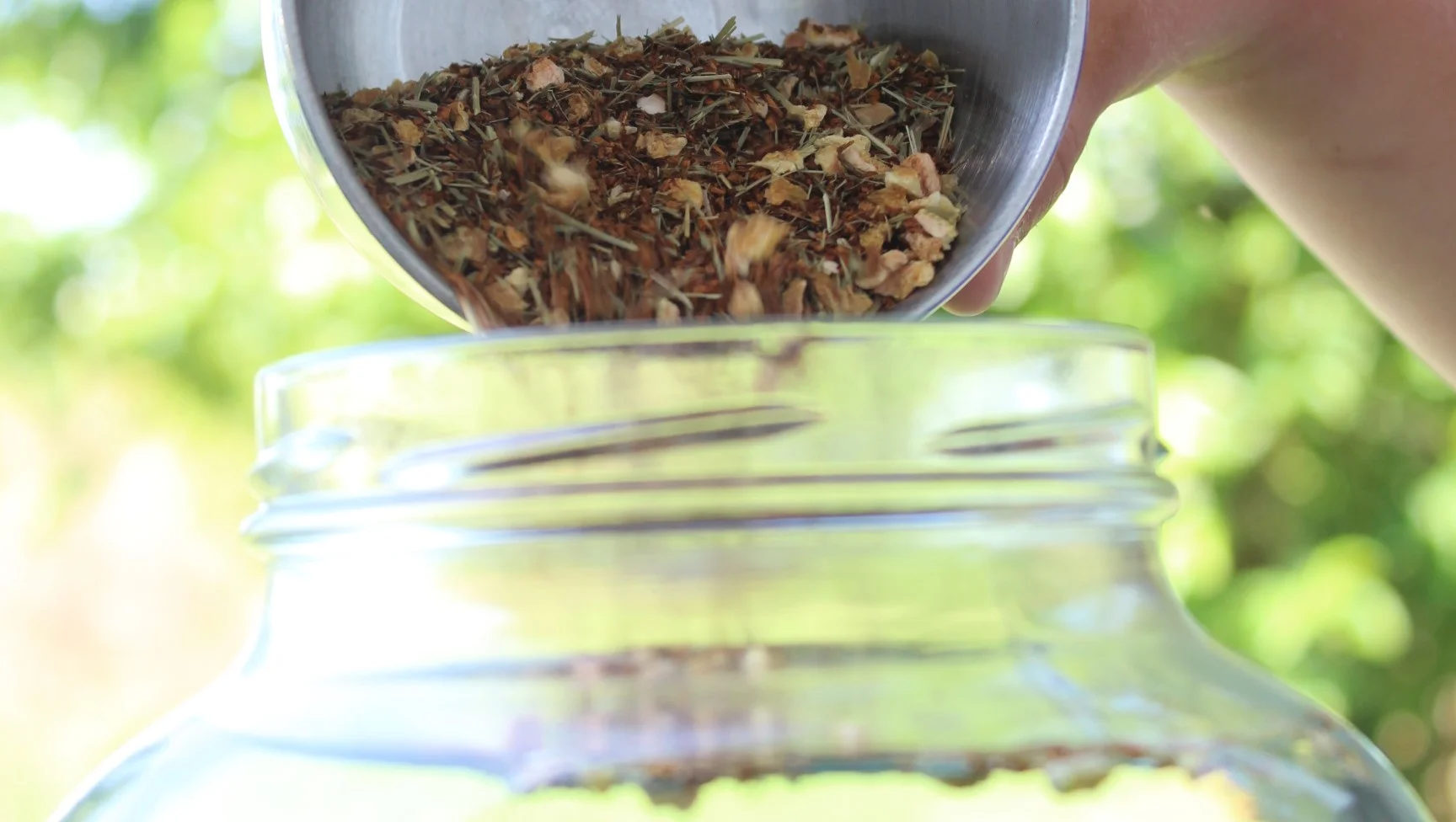6 Steps on How to Brew Delicious Sun Tea — Leaf Logic Wellness Tea