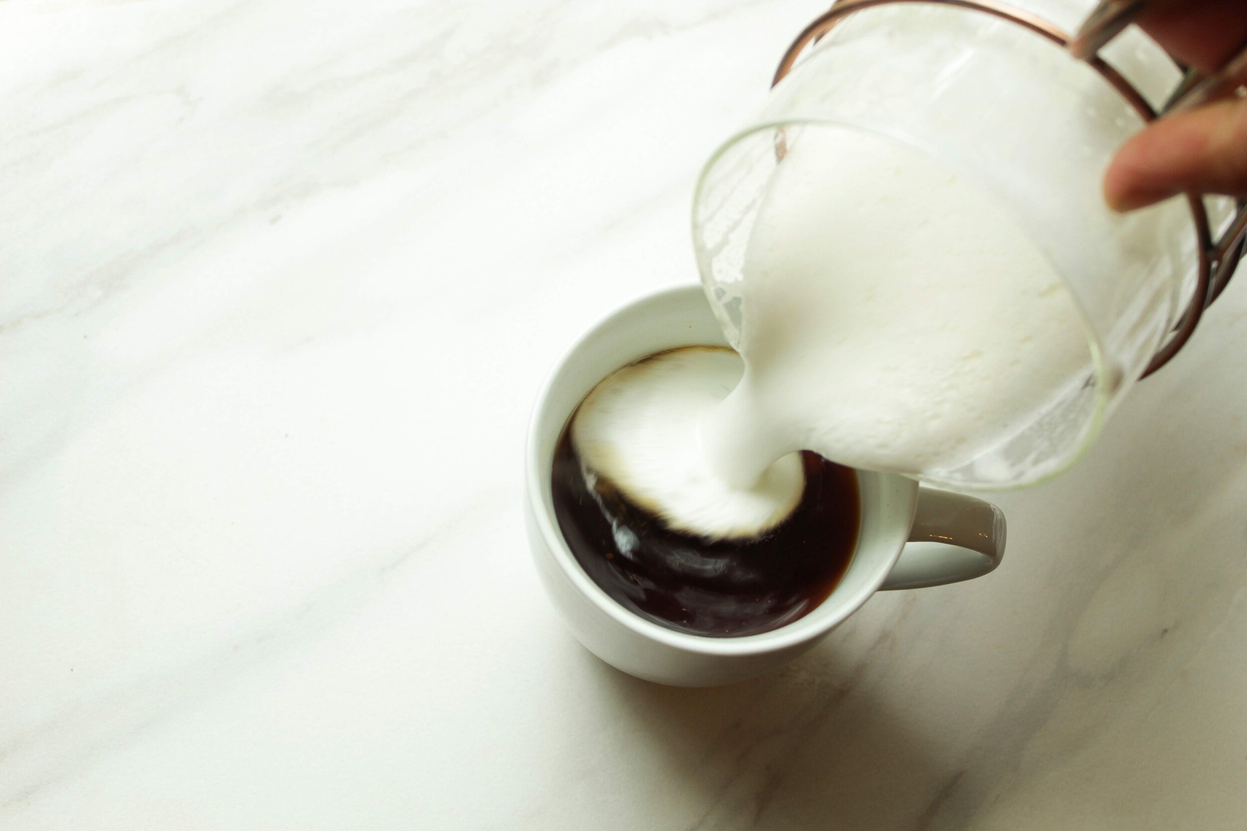 How to Froth Milk at Home - 3 Easy Steps — Leaf Logic Wellness Tea