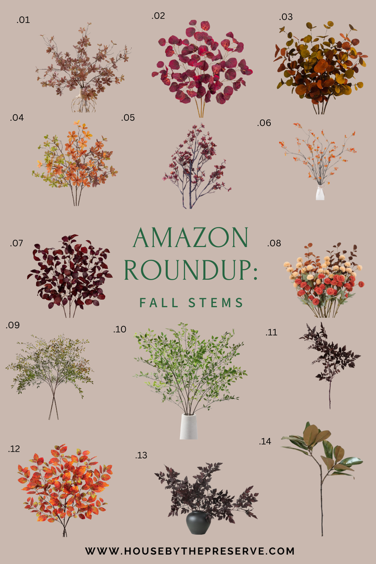 Amazon Roundup: Fall Stems — House by the Preserve