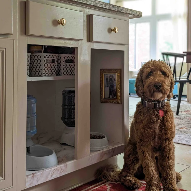 Six Upgrades every Kitchen NEEDS — House by the Preserve