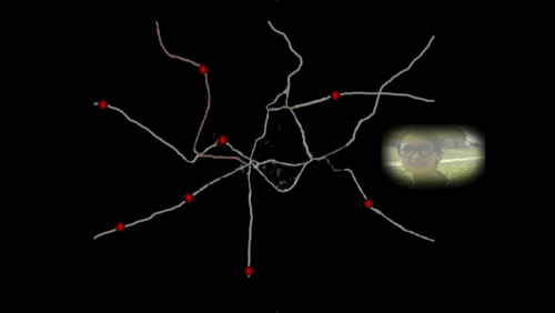 | 2021 Barbara Hammer Grant — QUEER | ART