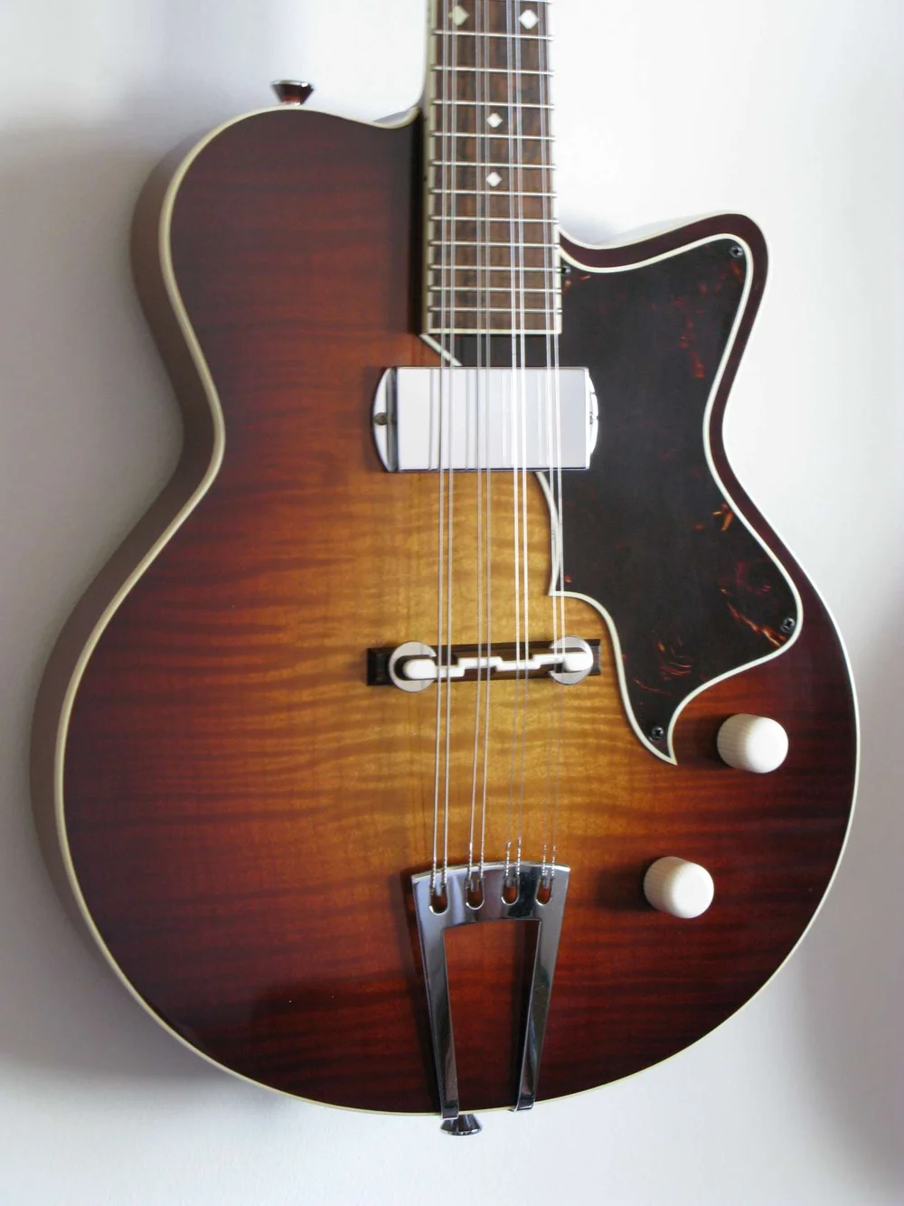 Mandolin Family — Yanuziello Stringed Instruments