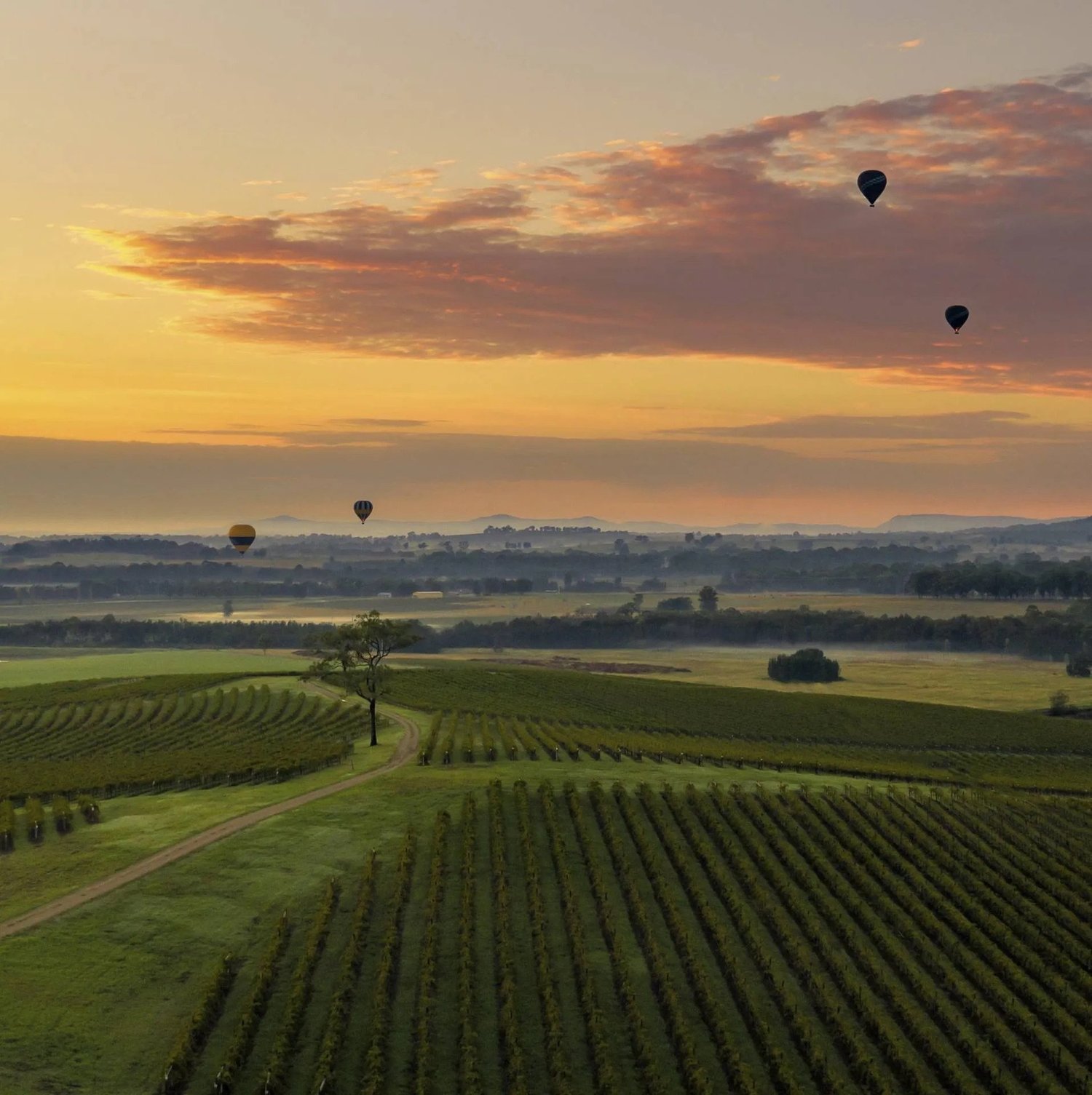 Hunter Valley Bus Hire & Wine Tours | Private Group Transport ...