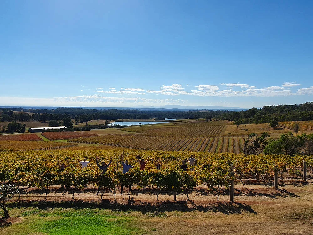 Australia's premium bus & coach charter and private tour company. Wine ...