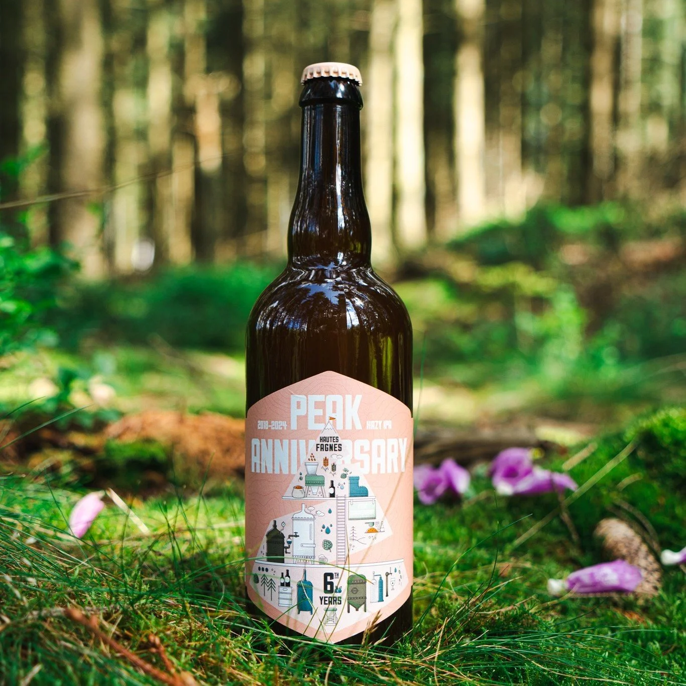 Visits — BELGIUM PEAK BEER