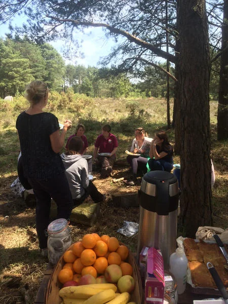 Our Story | Nature, Outdoor nurseries | Kids Love Nature
