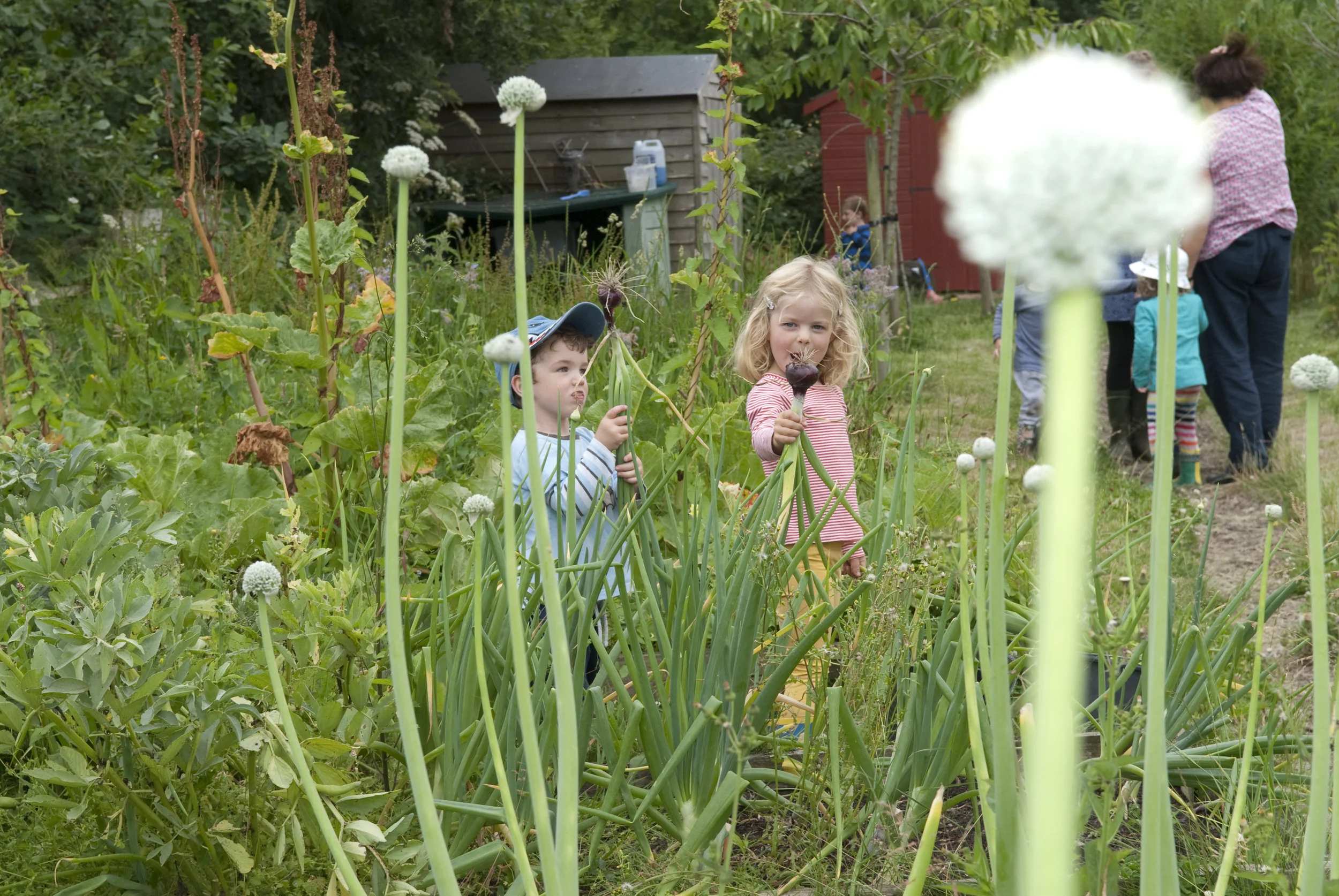 How children at our outdoor nurseries are helping the environment, one ...