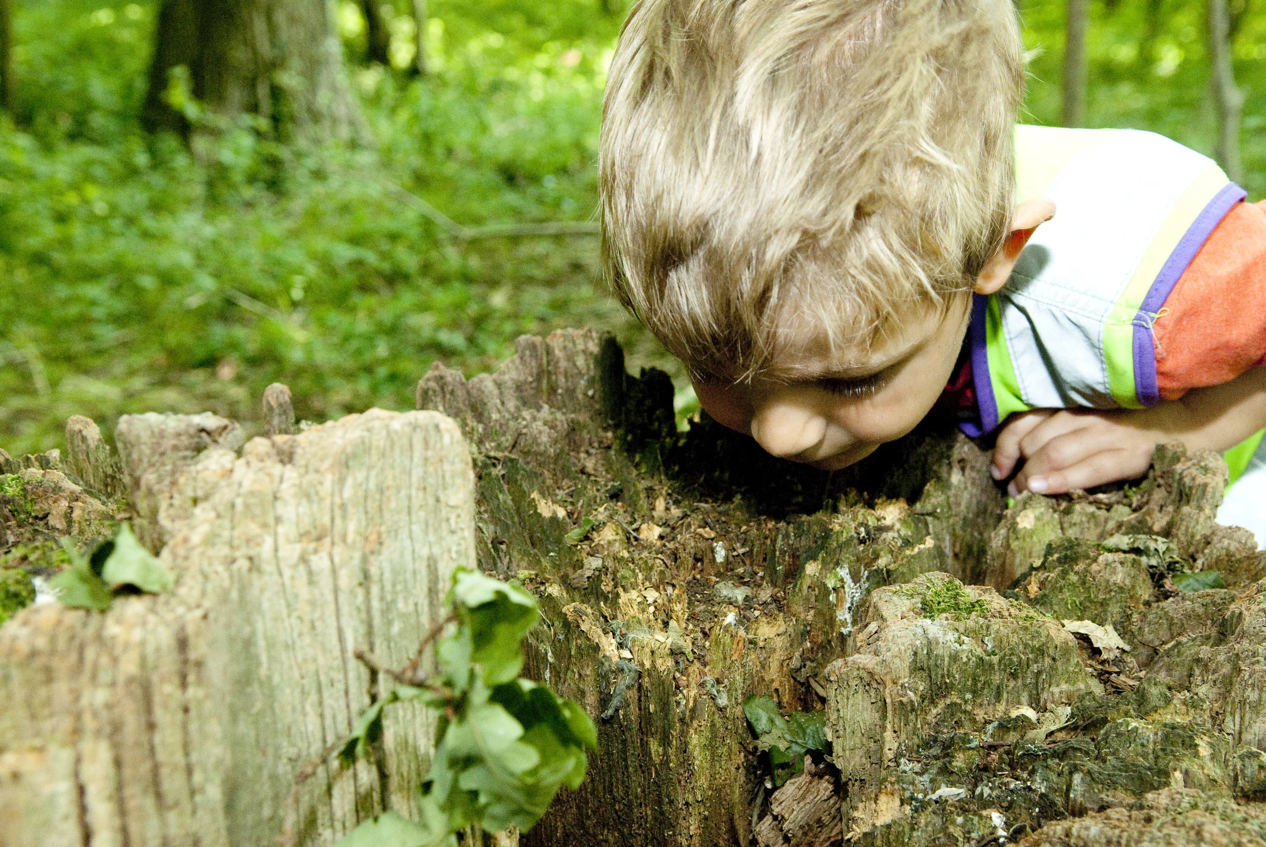 Why every child should learn to be a ranger of the wild outdoors ...