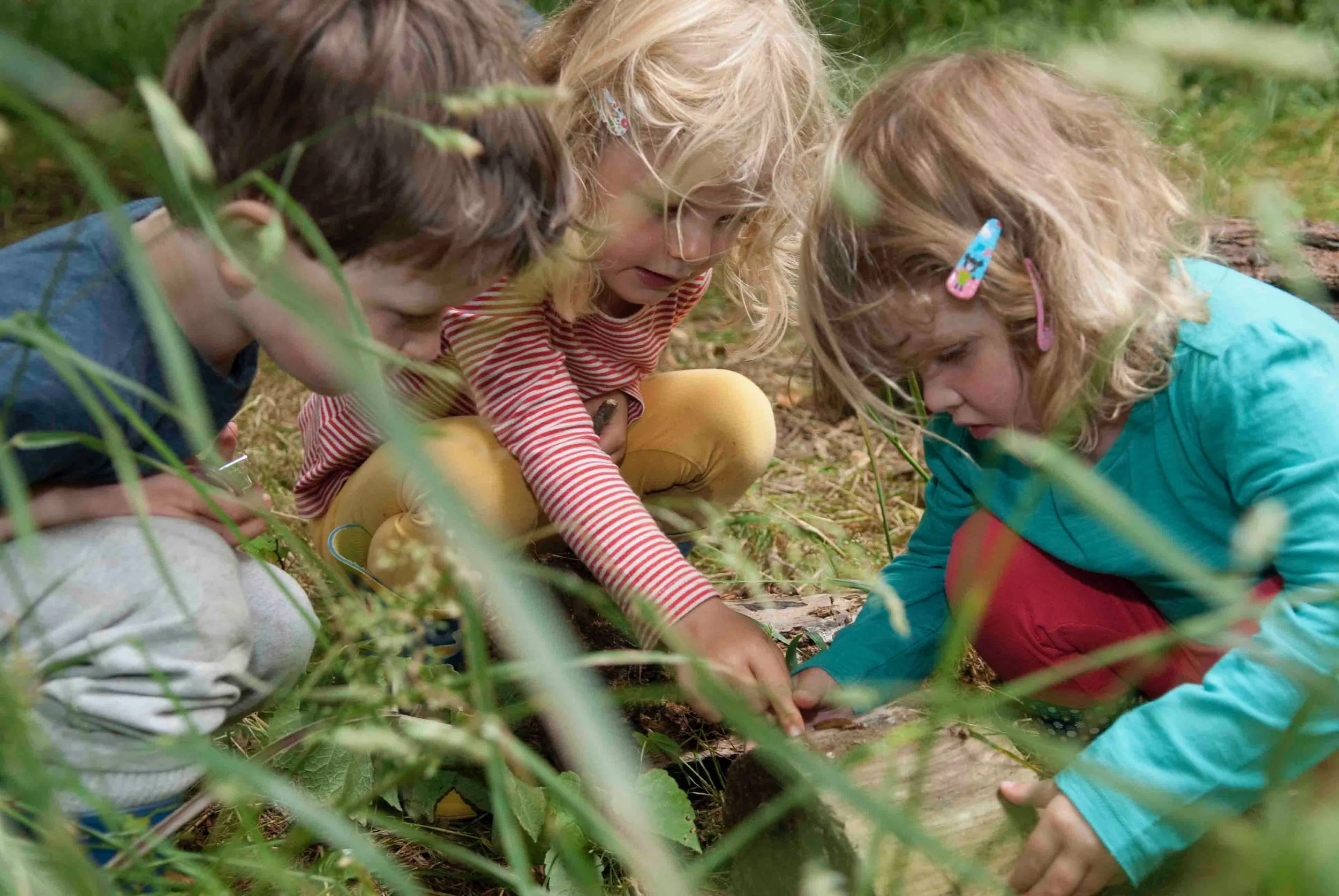 Kids Love Nature | Nature, Outdoor nurseries in Dorset and Hampshire