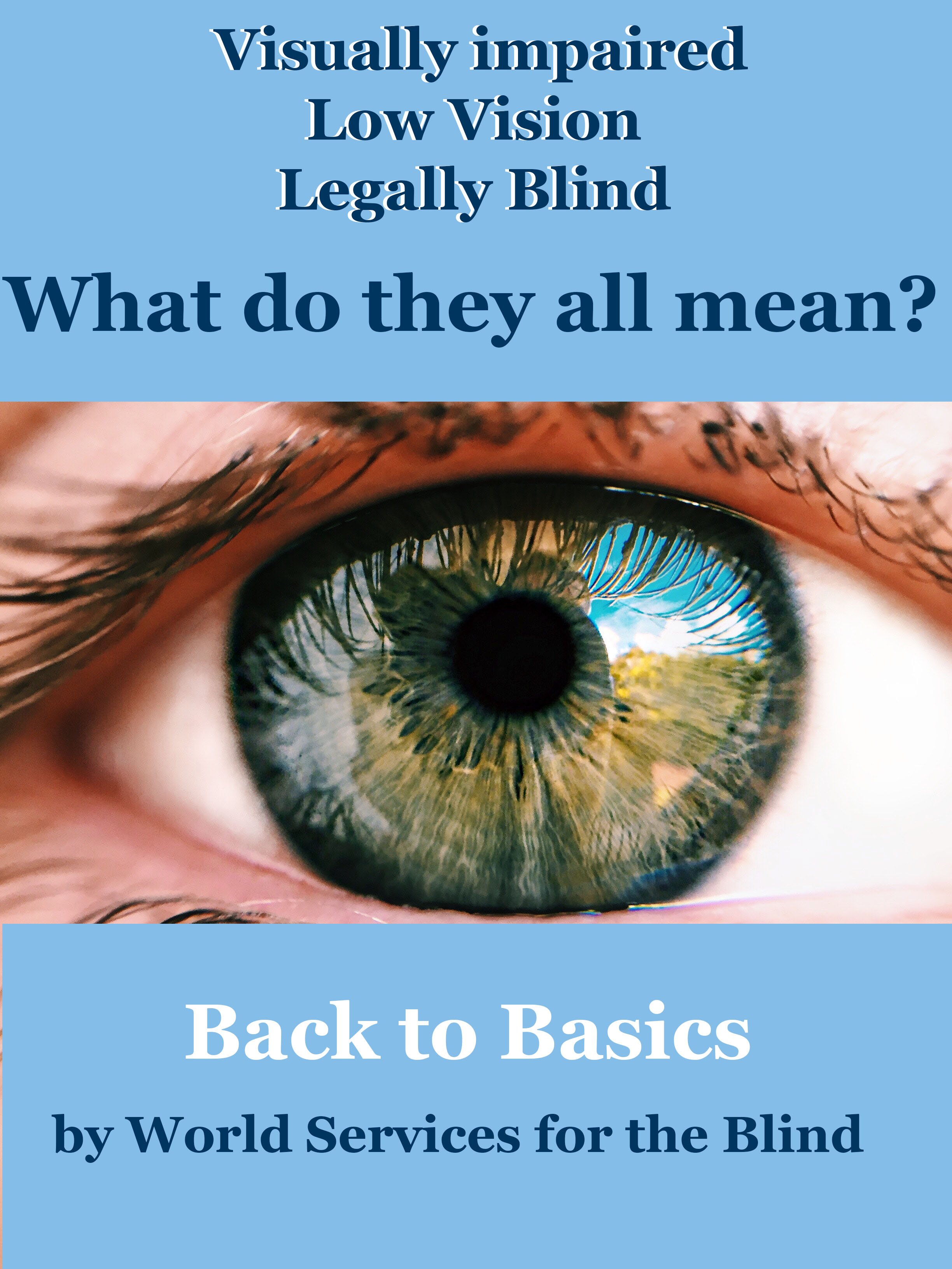 Is being visually impaired the same as legally blind? — World Services ...