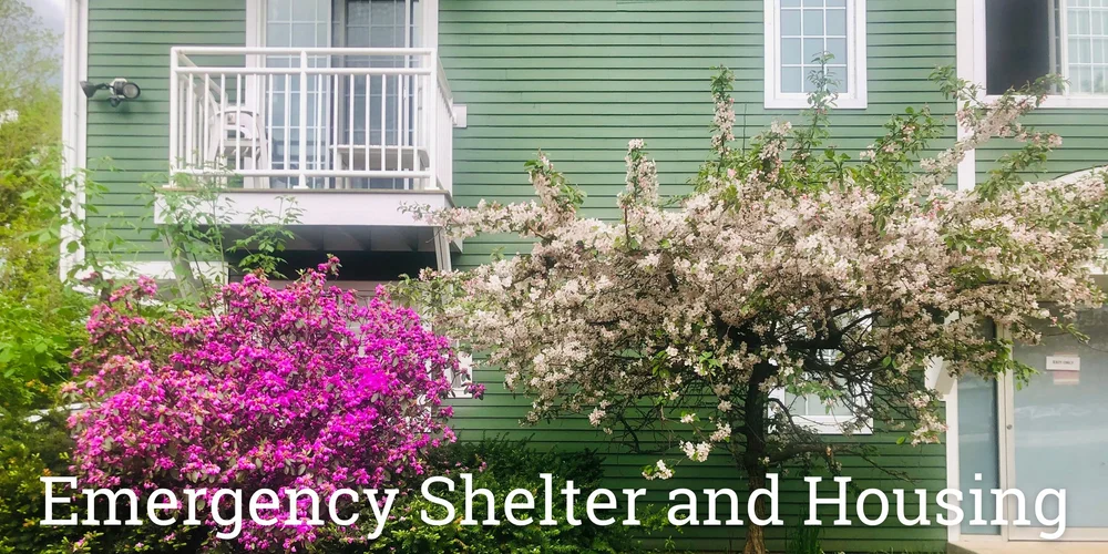 Shelter + Housing — Steps to End Domestic Violence