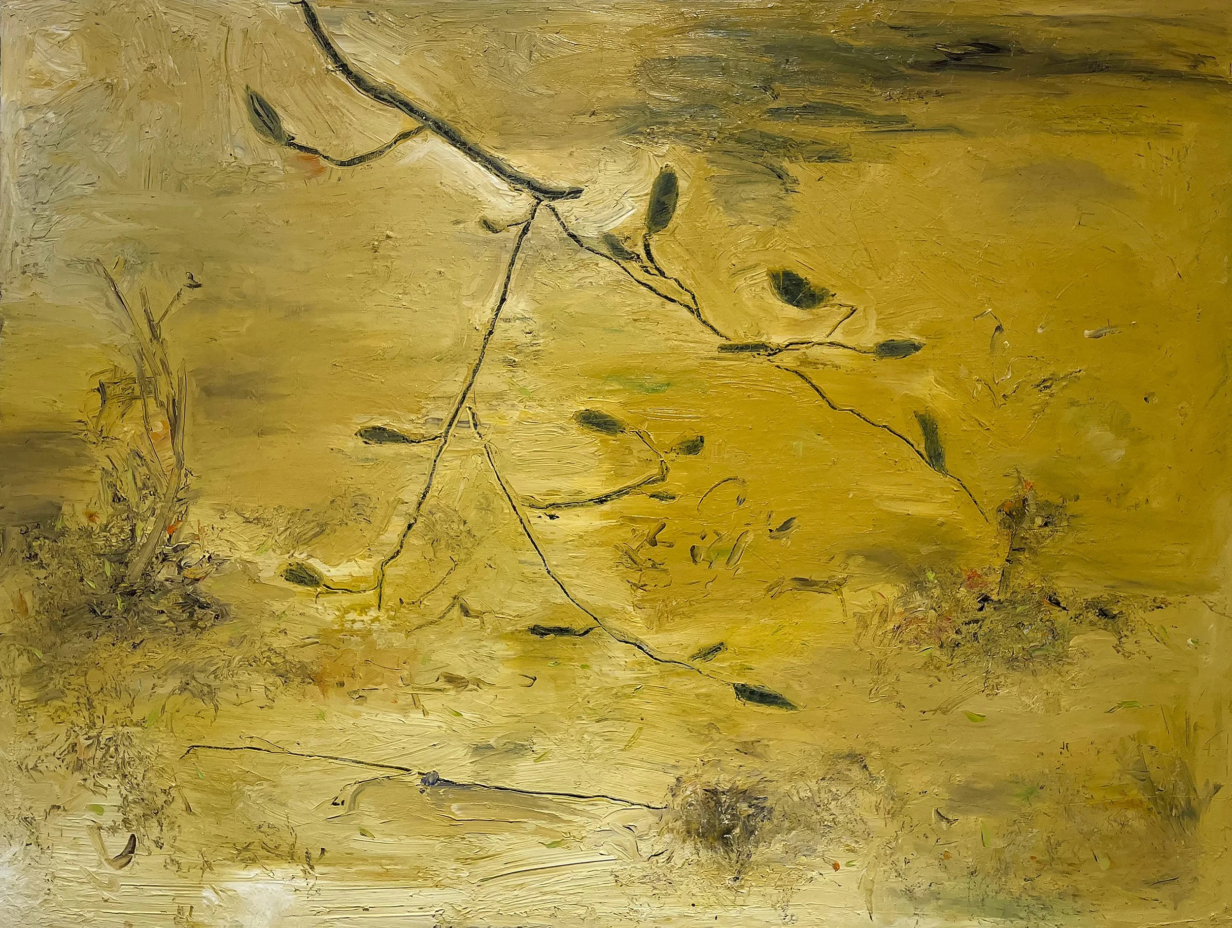 FREDRIC SNITZER GALLERY