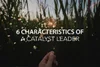 6 Characteristics of a Catalyst Leader — The Center Consulting Group