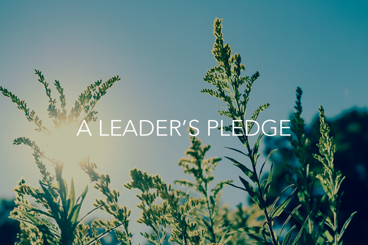 A Leader's Pledge for a New Year — The Center Consulting Group