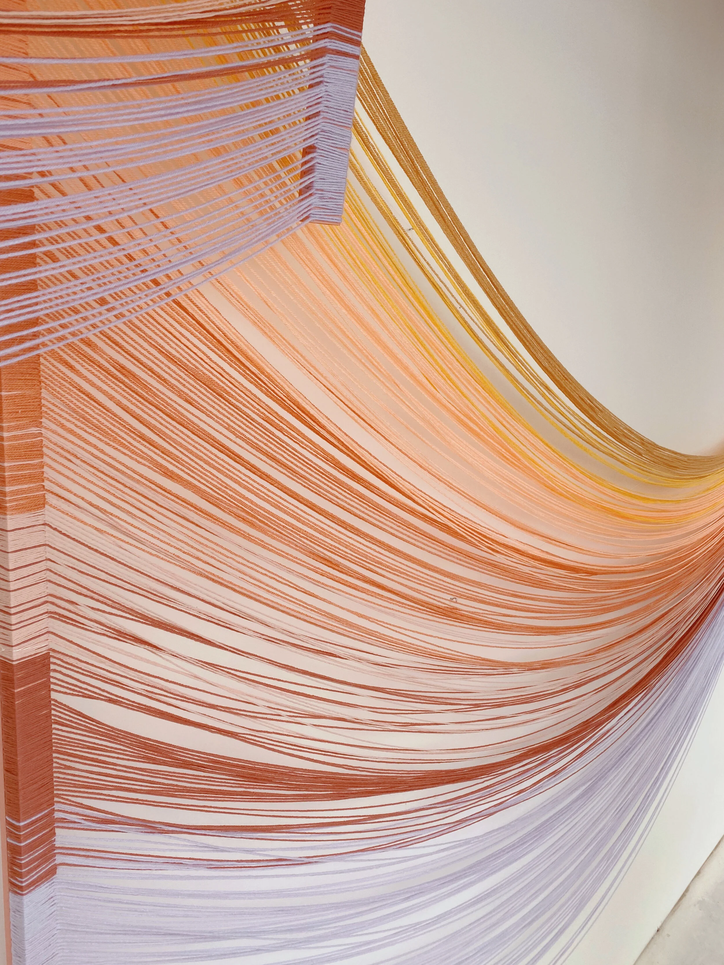 Portfolio — Hayley Sheldon